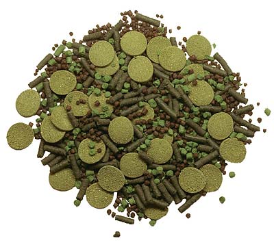 Fish Food Pellets – Tagged "pellet" – Angels Plus