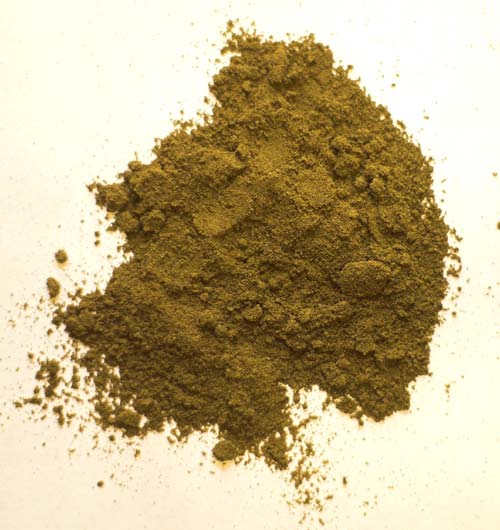 Fish Food for Fry – Angels Plus