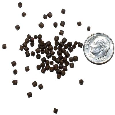 Slow Sinking Cichlid Fish Food for sale – Angels Plus