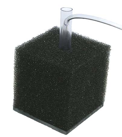 Sponge filter for bio filtration – Angels Plus